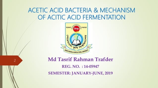 Acitic acid bacteria mechanism of acitic acid fermentation | PPTX