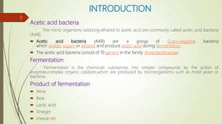 Acitic acid bacteria mechanism of acitic acid fermentation | PPTX