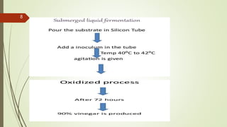 Acitic acid bacteria mechanism of acitic acid fermentation | PPTX
