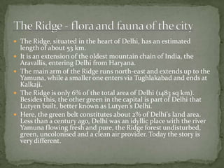 A city that is delhi | PPTX