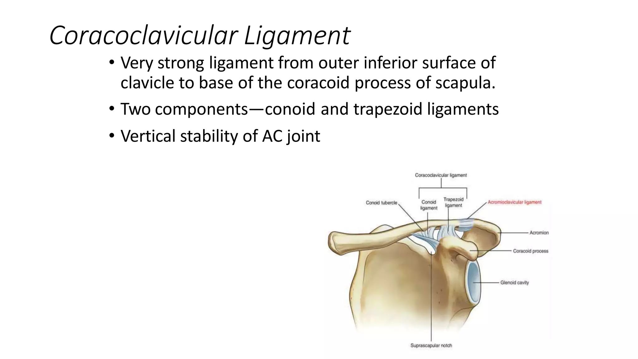 acromioclavicular joint dislocation.pptx