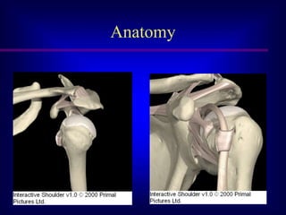 Acj excision watanabe india | PPT