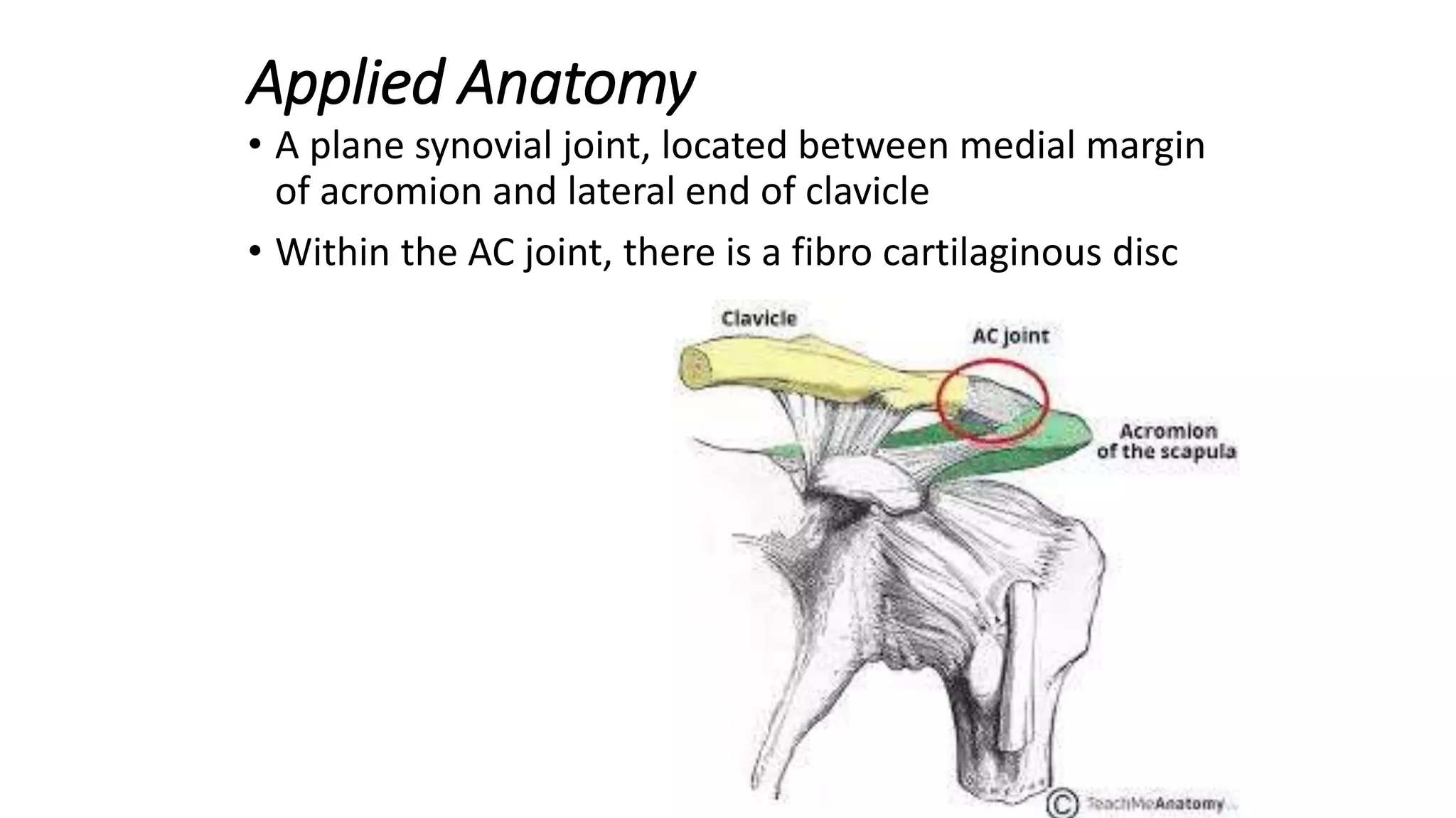 ACROMIOCLAVICULAR JOINT INJURY | PPTX