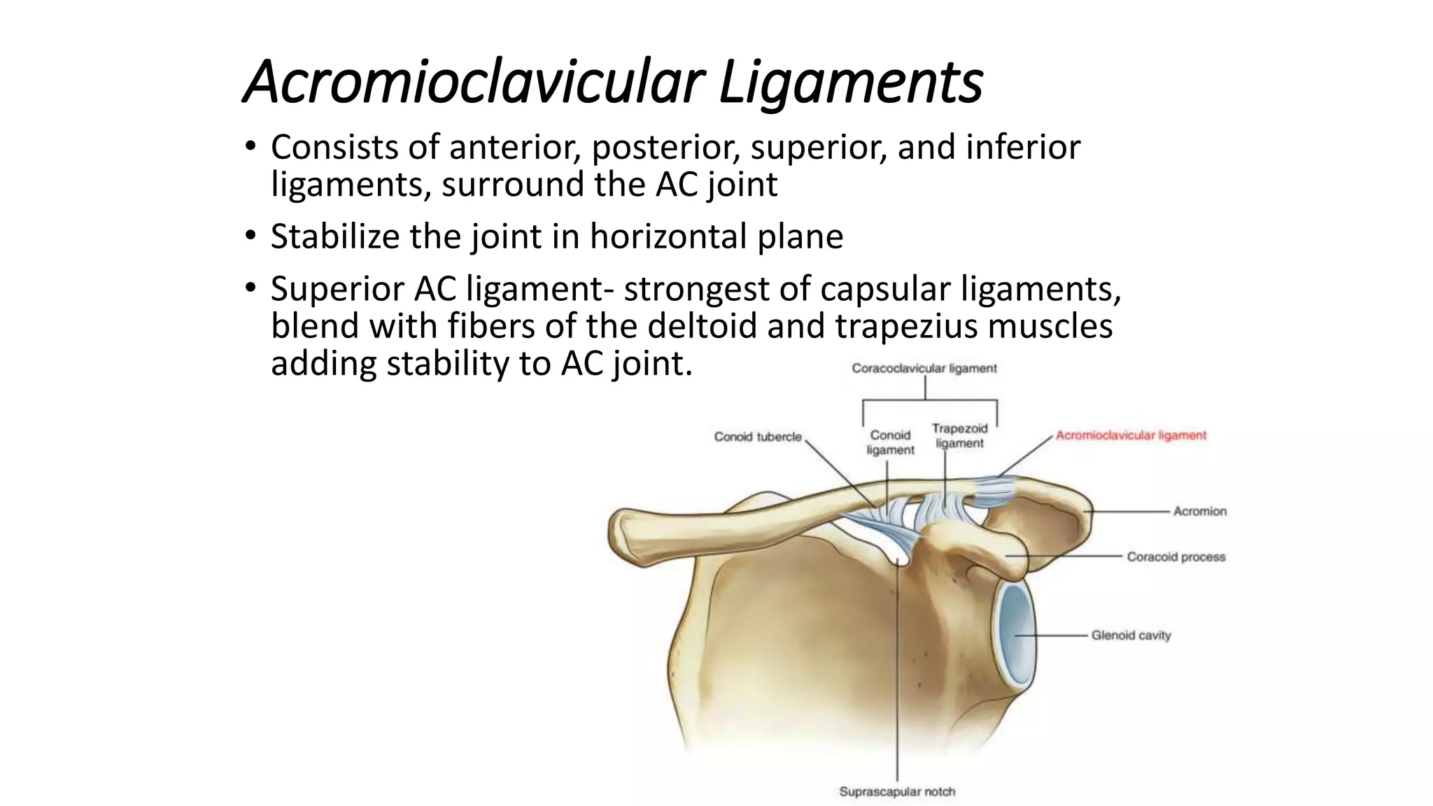 ACROMIOCLAVICULAR JOINT INJURY | PPTX