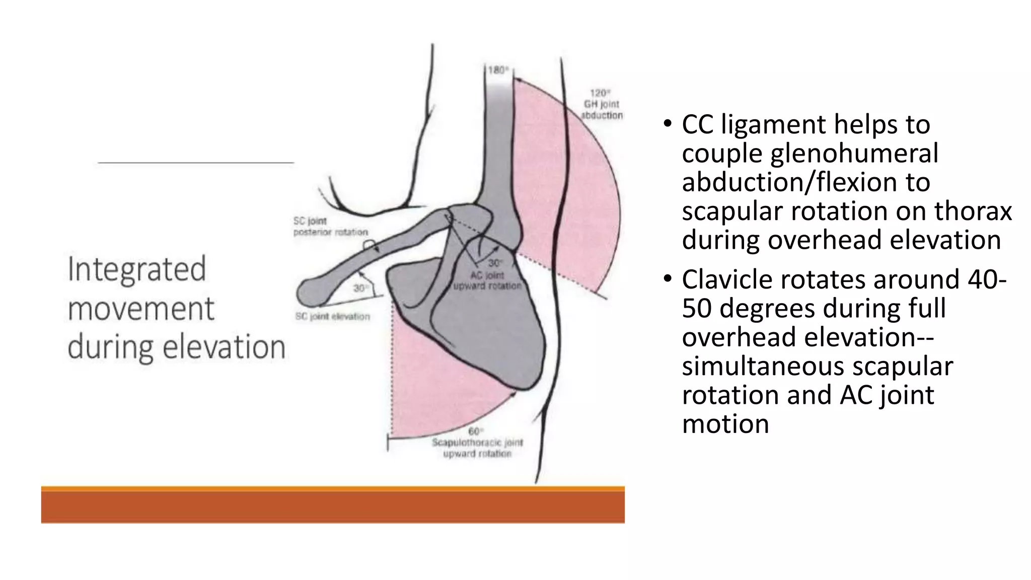 ACROMIOCLAVICULAR JOINT INJURY | PPTX