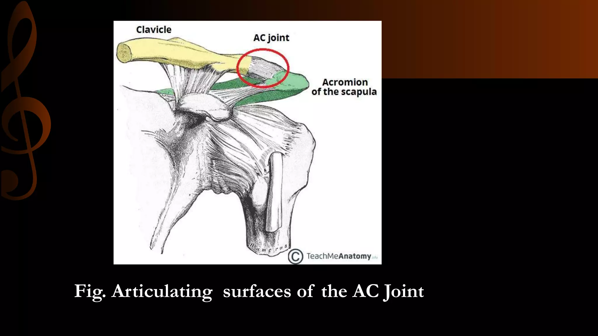 AC Joint PPT.pptx