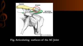 AC Joint PPT.pptx