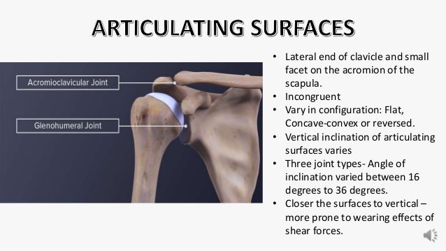 Shoulder biomechanics- Acromioclavicular joint | PPTX