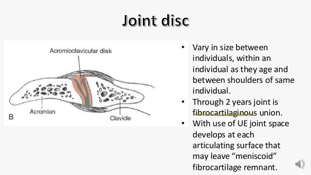 Shoulder biomechanics- Acromioclavicular joint | PPTX