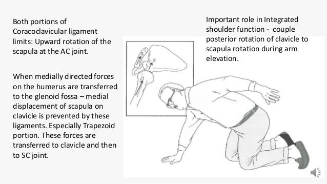 Shoulder biomechanics- Acromioclavicular joint | PPTX