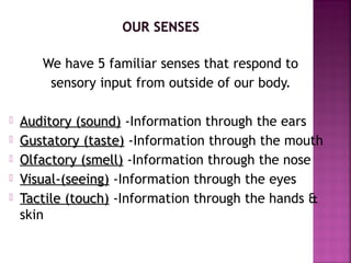 Sensory | PPT