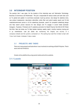 Report Internship | PDF