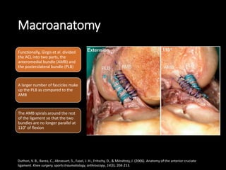 ACL disorders | PPT