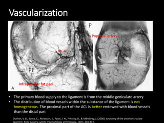 ACL disorders | PPT