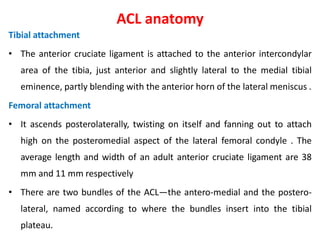 ACL.pdf