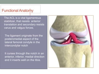 ACL.injury.final year.pptx