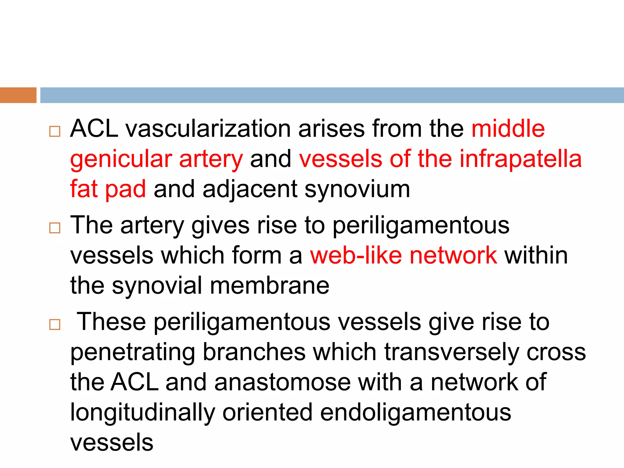 Anterior cruciate ligament-Injury & management | PPTX