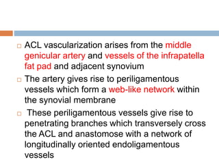 Anterior cruciate ligament-Injury & management | PPTX