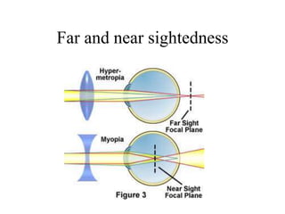 Lesson on Properties of Light in Grade 7 | PPT