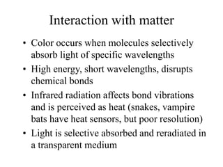 Lesson on Properties of Light in Grade 7 | PPT