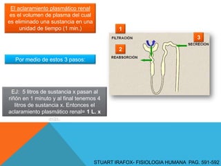 Aclaramiento Plasmatico Renal | PPTX