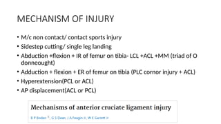 ACL CLINICAL AND RADIOLOGICAL DIAGNOSIS.pptx