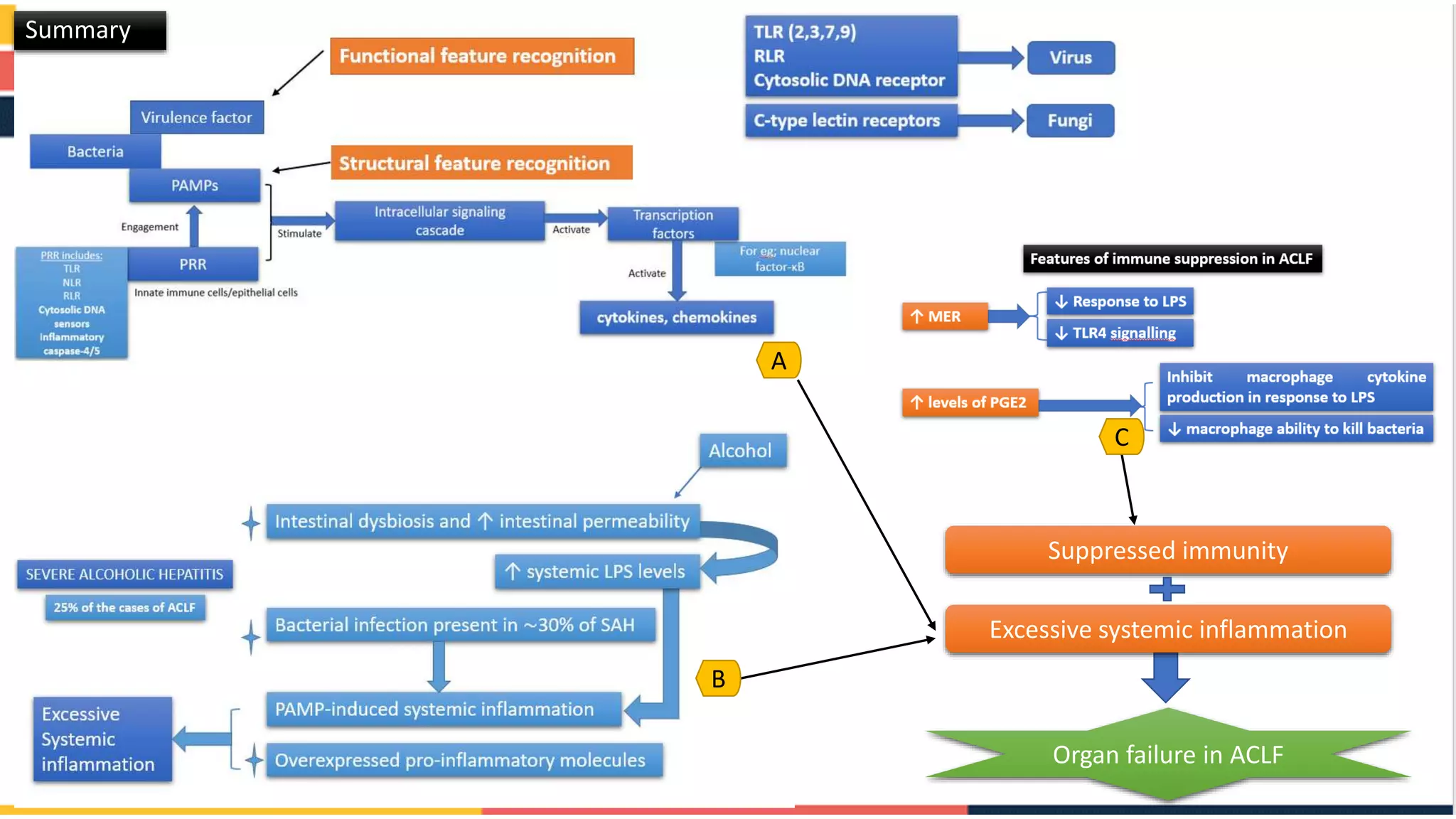 Acute on Chronic Liver Failure (ACLF) | PPTX