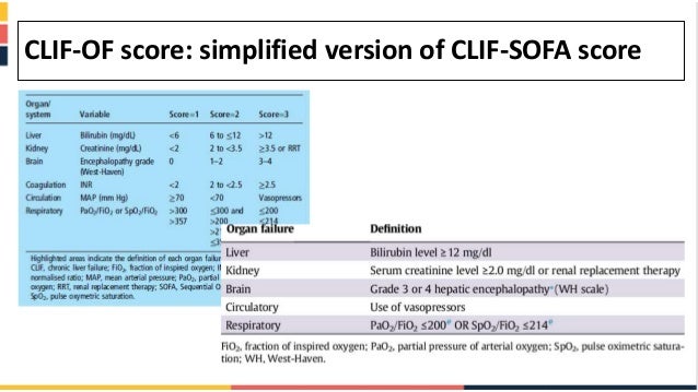 Acute on Chronic Liver Failure (ACLF)