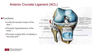 Anterior cruciate ligament reconstruction- allograft versus autograft | PPT