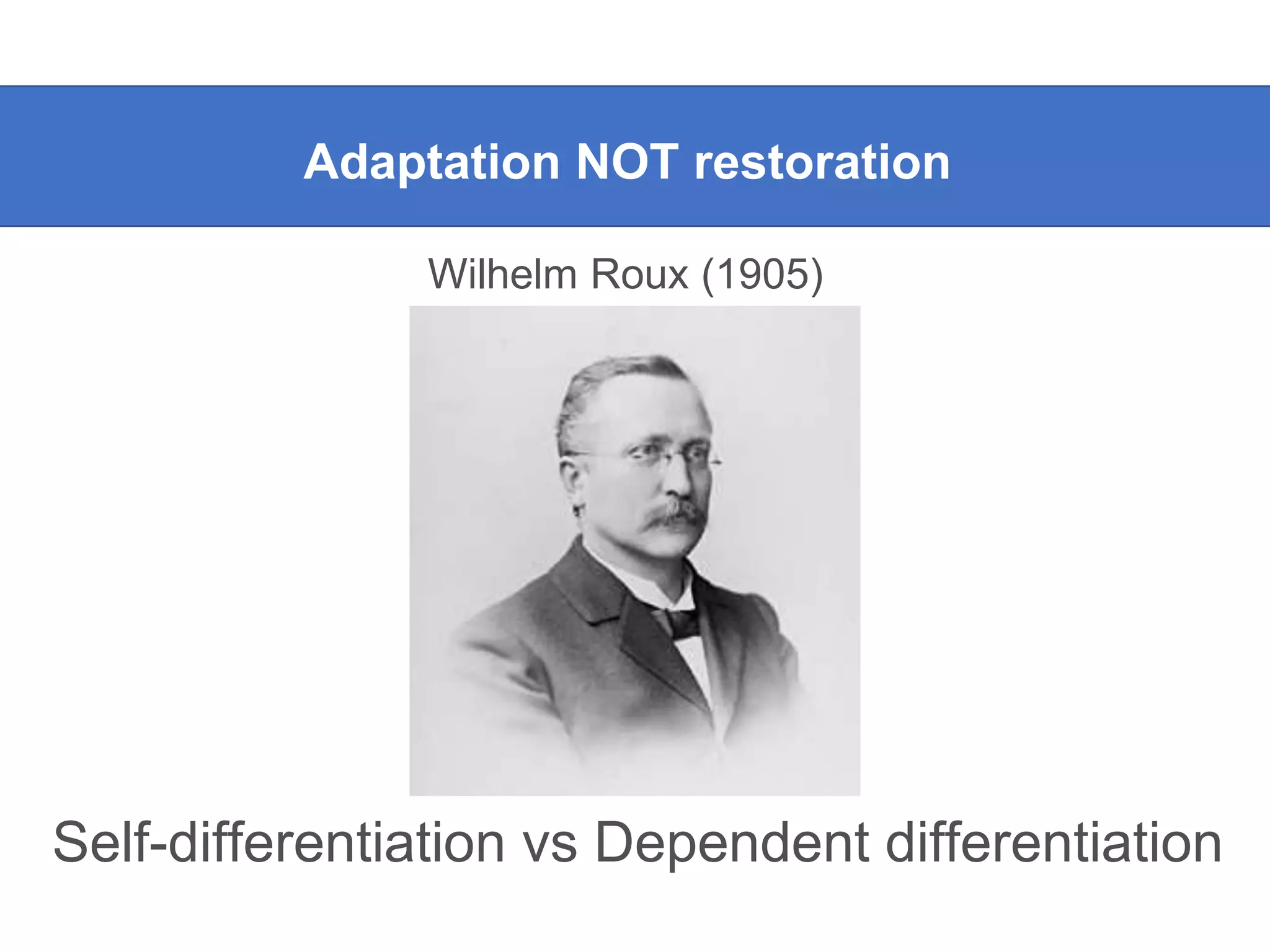 ACL healing presentation.pptx