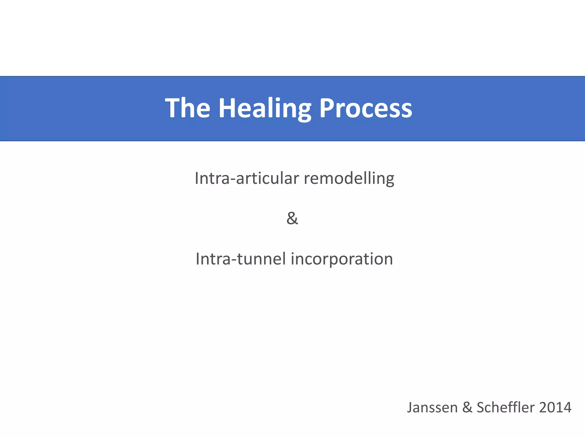 ACL healing presentation.pptx
