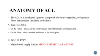 Acl injury | PPTX