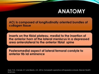 ACL Injury diagnosis and management.pptx