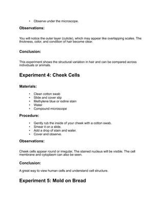 10 Easy & Fun Microscope Experiments for Kids | DOCX
