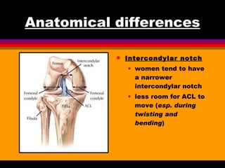 Acl prevention women | PPT