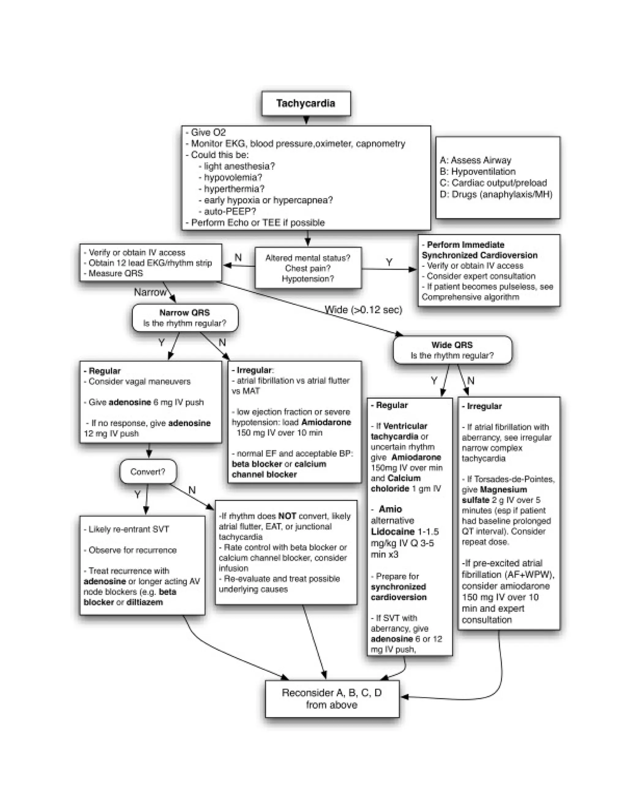 ACLS algorithms | PDF