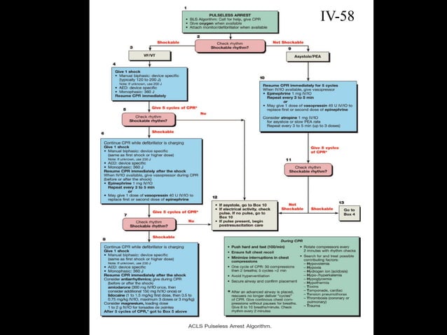 ACLS 2010 updates | PDF
