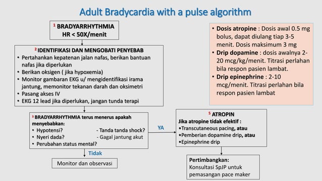 ACLS.pptx