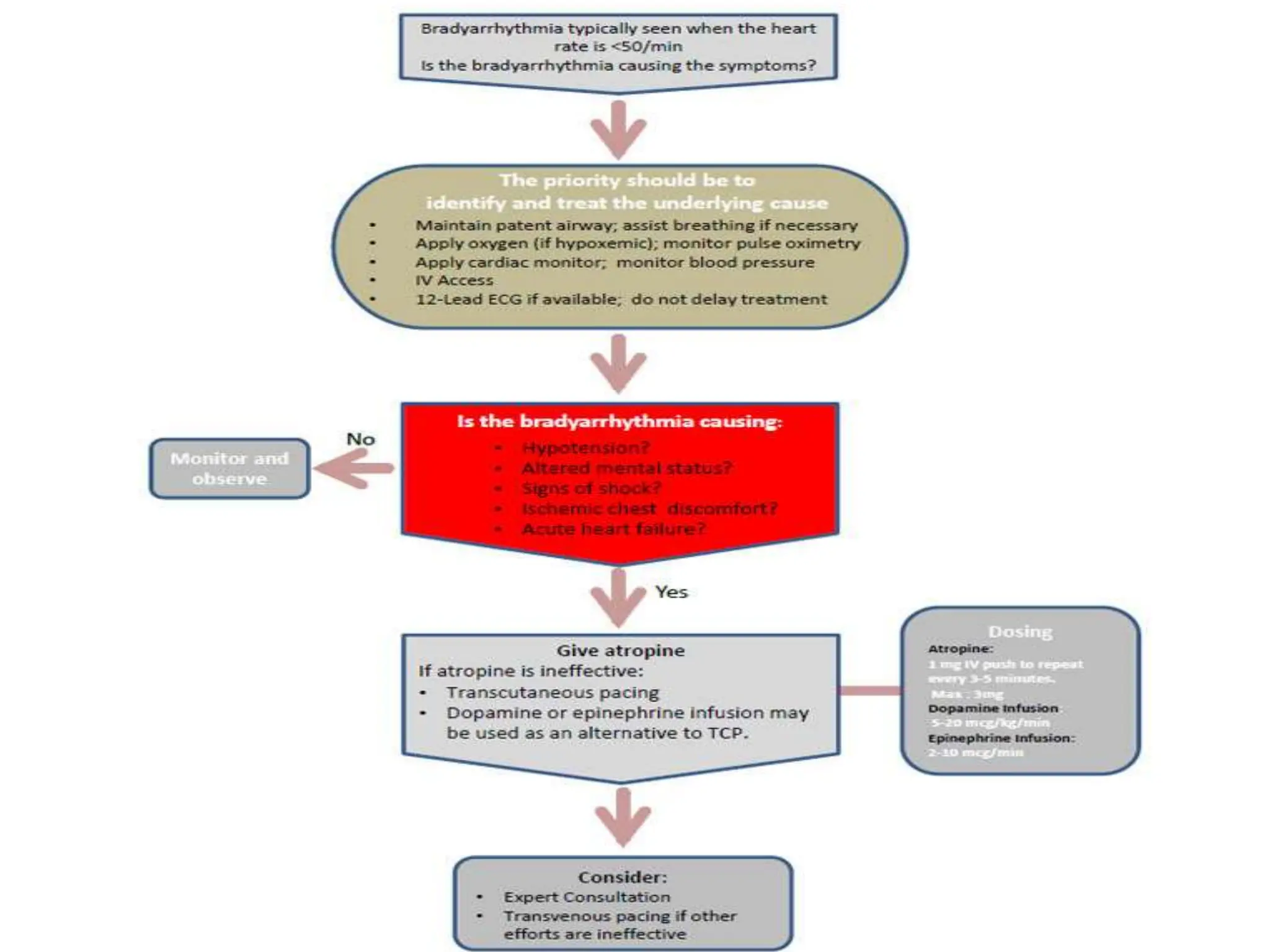 ACLS.pptx | Heart and Cardiovascular Diseases | Diseases and Conditions