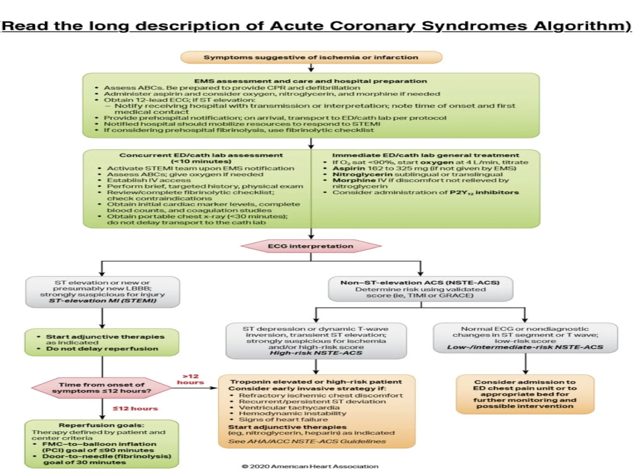 Advanced Cardiac Life support Algorithm. | PPT