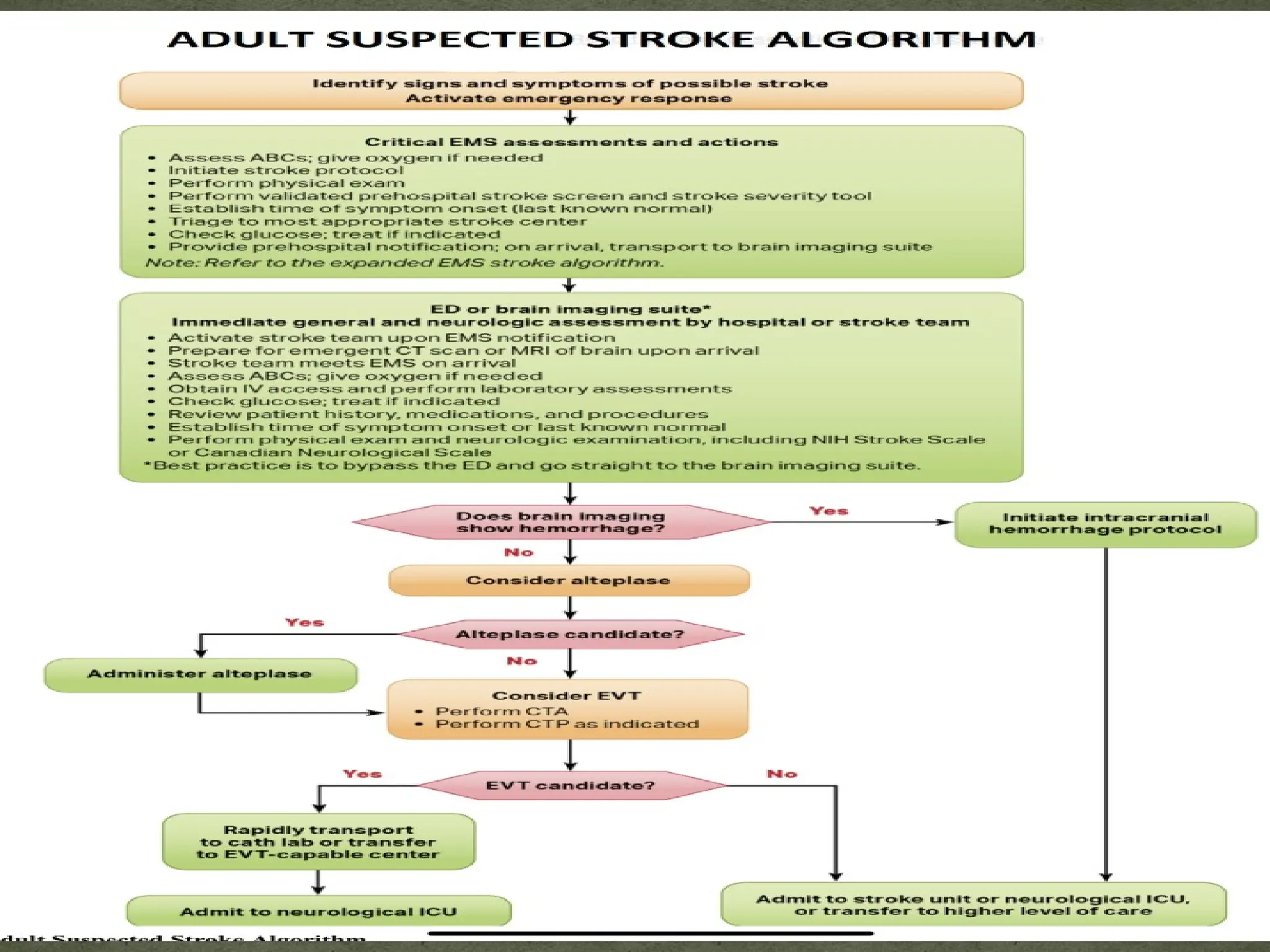 Advanced Cardiac Life support Algorithm. | PPT