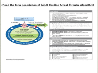 Advanced Cardiac Life support Algorithm. | PPT