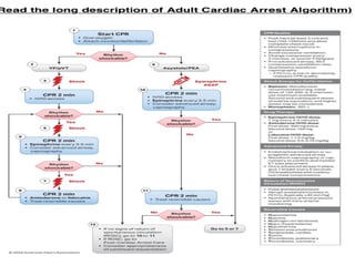 Advanced Cardiac Life support Algorithm. | PPT