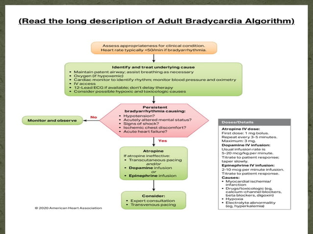 Advanced Cardiac Life support Algorithm. | PPT