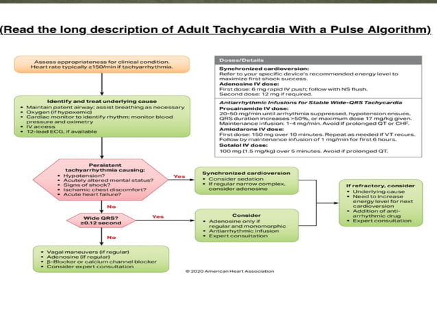 Advanced Cardiac Life support Algorithm. | PPT