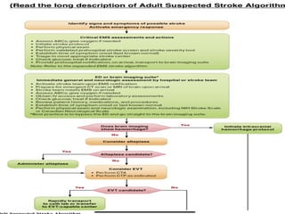 Advanced Cardiac Life support Algorithm. | PPT