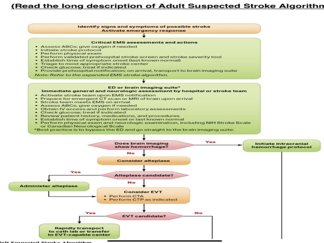 Advanced Cardiac Life support Algorithm. | PPT