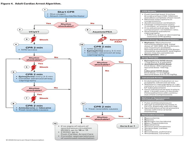 advanced Cardiac life support (ACLS), Shockable -non-shockable rhythm ...