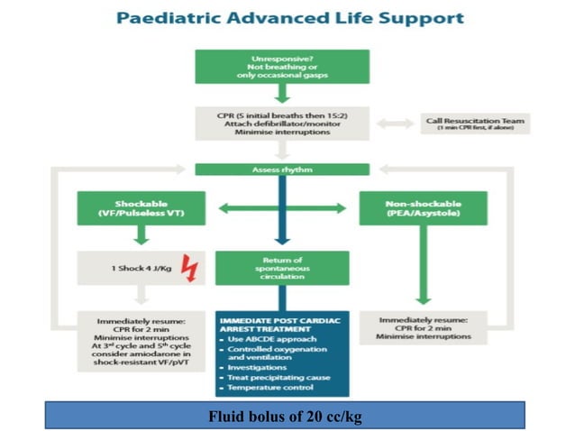 advanced Cardiac life support (ACLS), Shockable -non-shockable rhythm ...