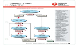 ACLS (4) (1).pptx